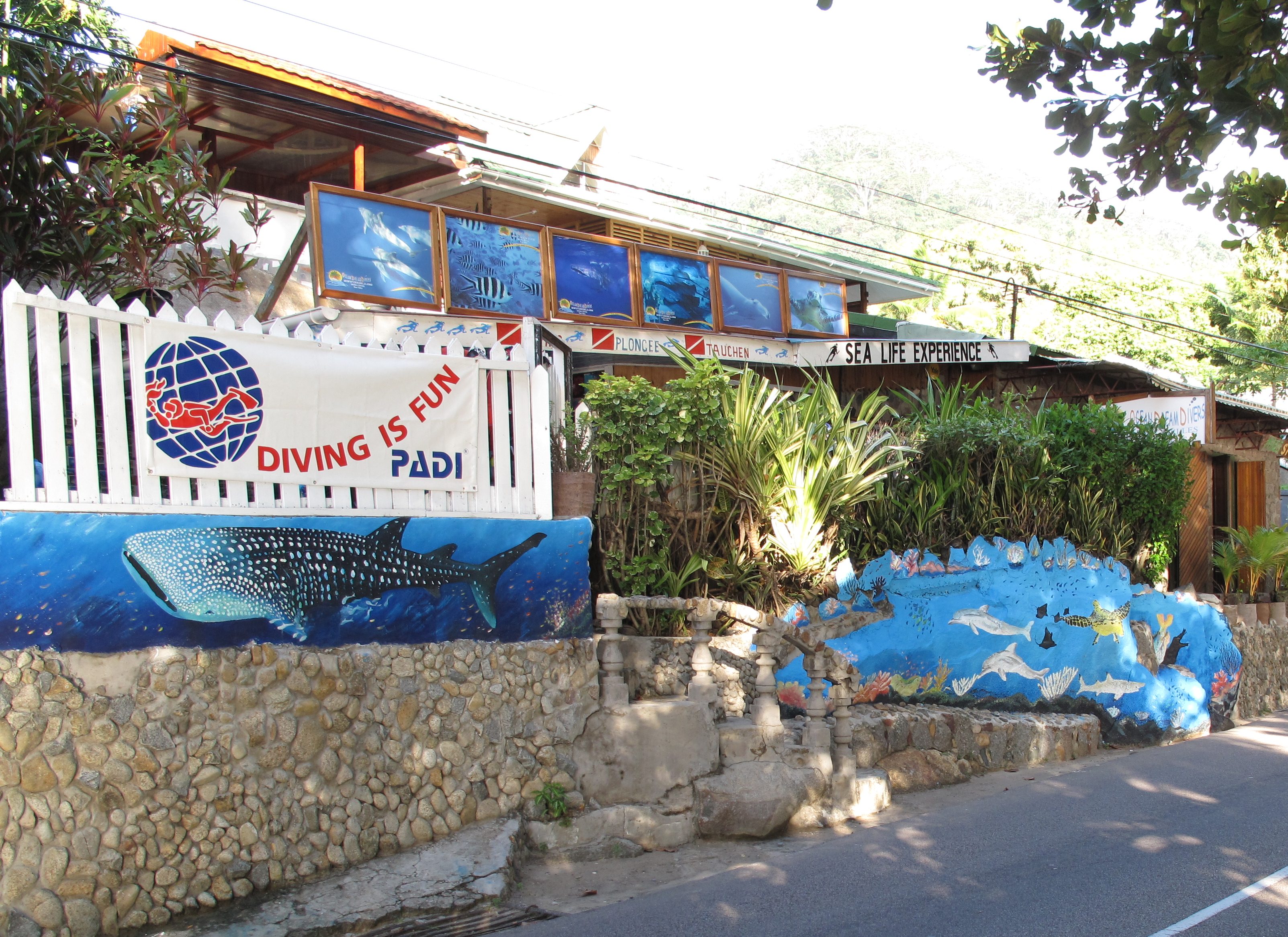 Ocean Dream Divers - Ocean Dream Divers